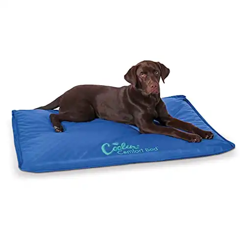 7 Best Cooling Beds For Dogs To Beat The Heat! – First Time Dog Mom