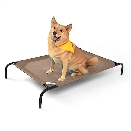 7 Best Cooling Beds For Dogs To Beat The Heat! – First Time Dog Mom